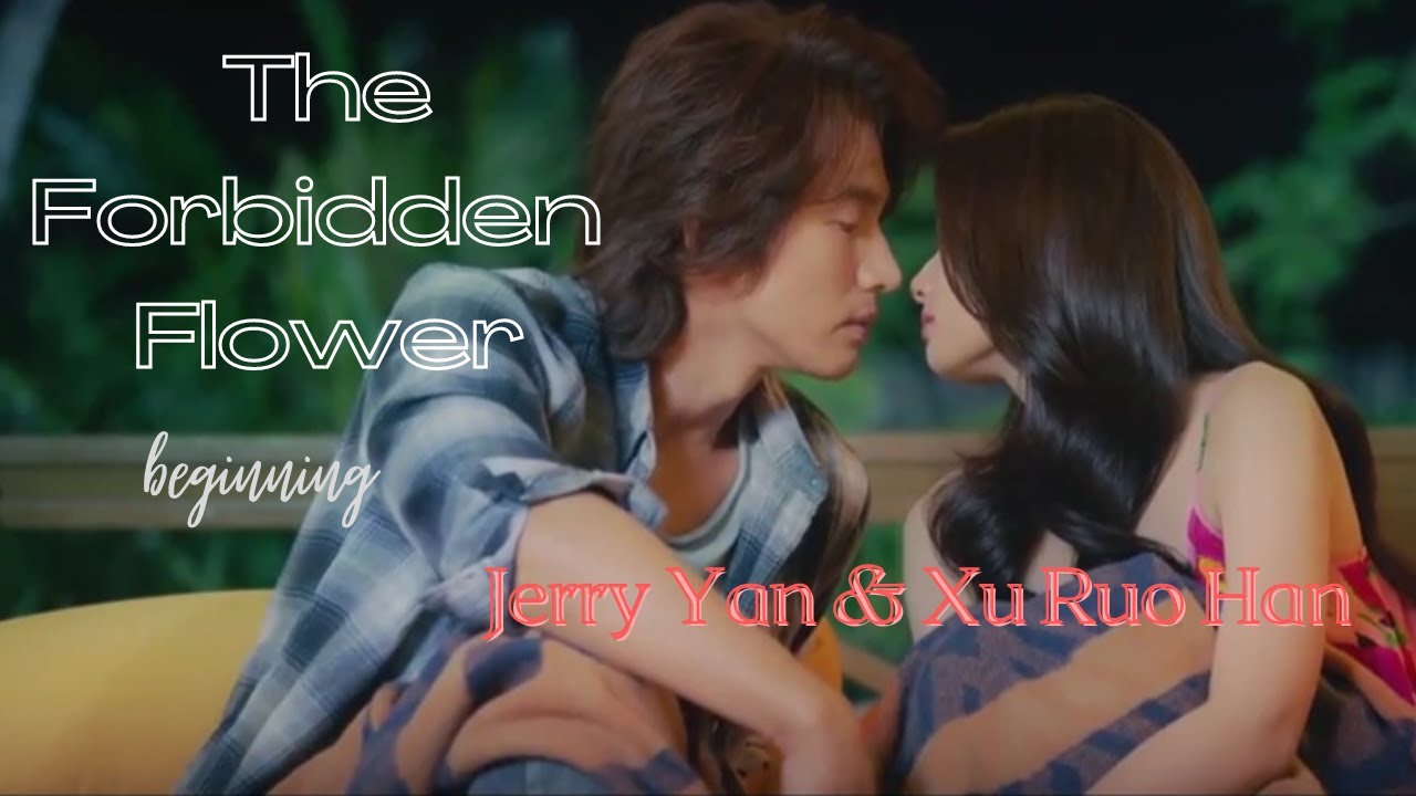 The forbidden flower- I'm Falling In Love He Ran & Xiao Han #cdrama #love - YouTube
