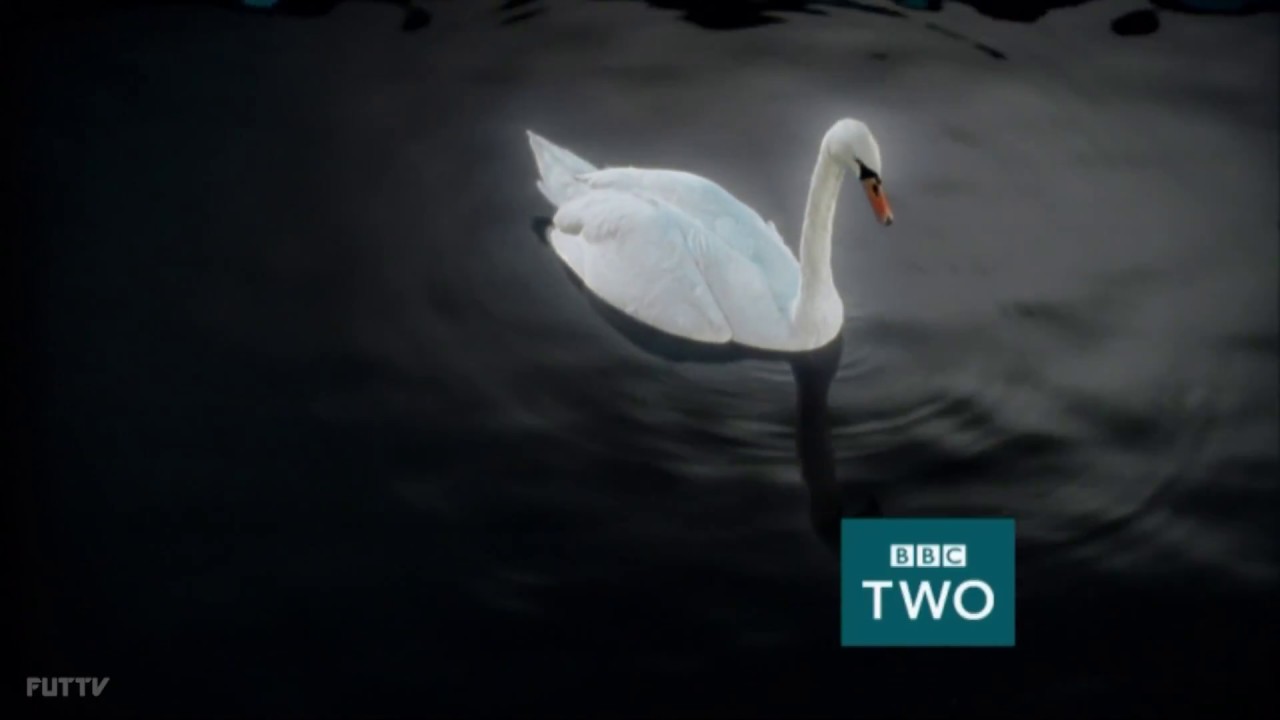 BBC2 Swan (Announcerless) -- Ident from the January 2015 set - YouTube