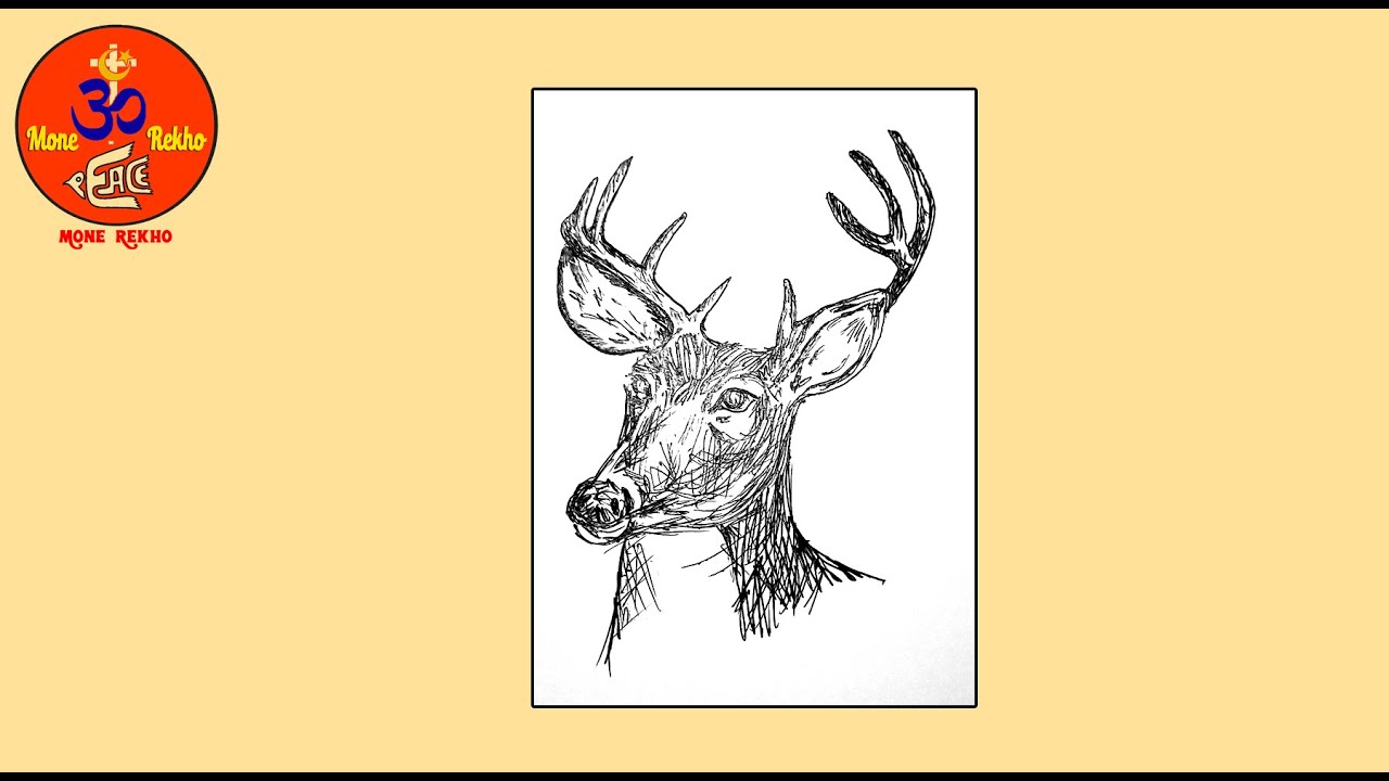 Dear | Sketch | Easy drawing | Drawing for beginners | Drawing for kids ...