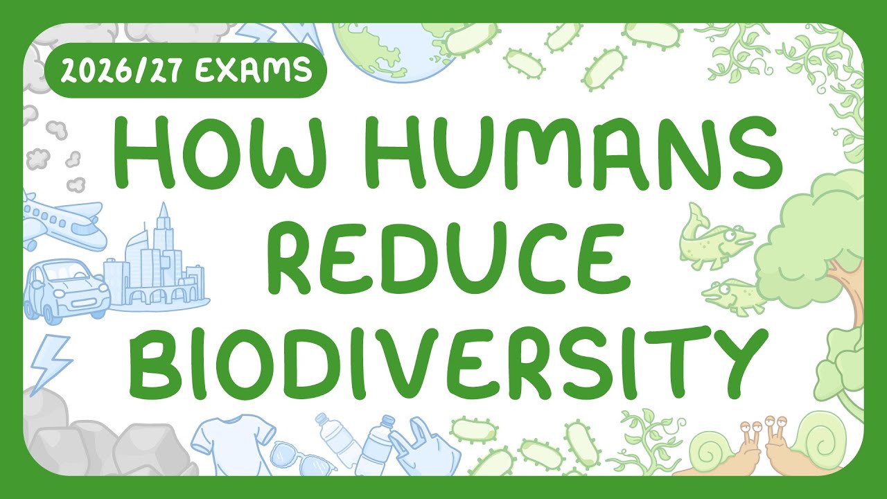 GCSE Biology - How Humans Reduce Biodiversity (2026/27 exams) | Shorty ...