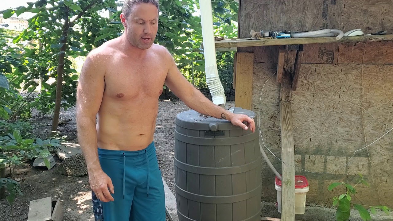 Automatic Chicken Watering System with Rain Barrel - YouTube
