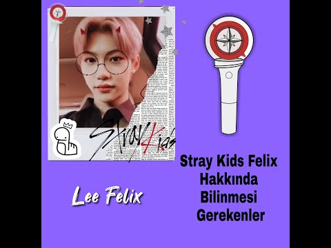 Stray Kids Üyesi Lee Felix Hakkında Bilinmesi Gerekenler