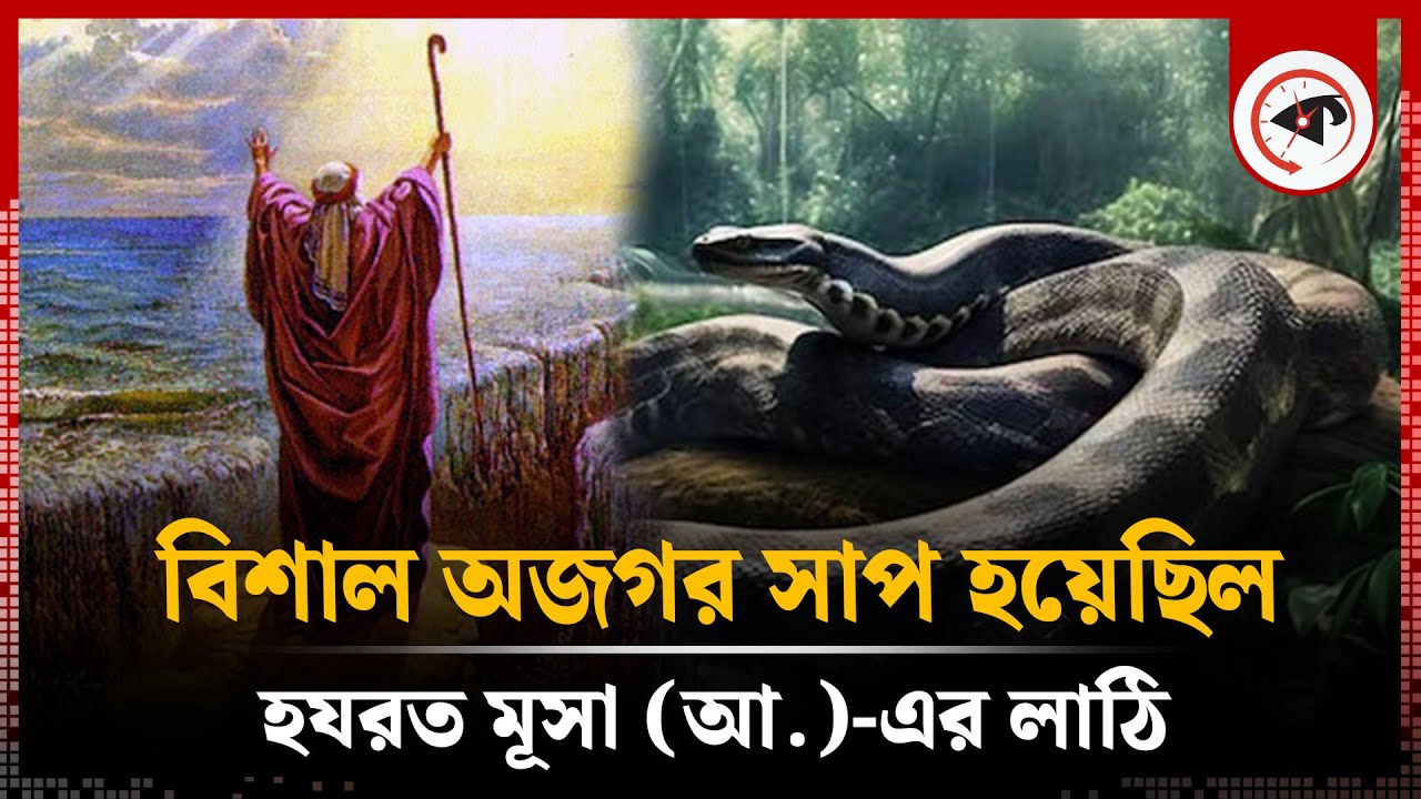 হযরত মূসা (আ.)-এর লাঠি হঠাৎ বিশাল অজগর সাপ হওয়ার সত্য ঘটনা | Prophet ...