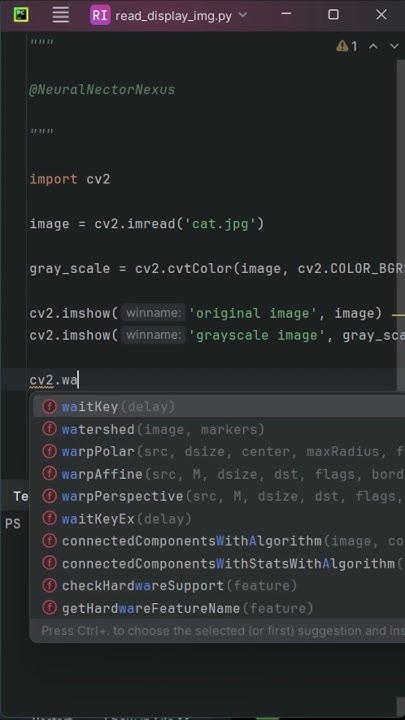 02 - Grayscale Conversion in OpenCV #computervision #imageprocessing # ...