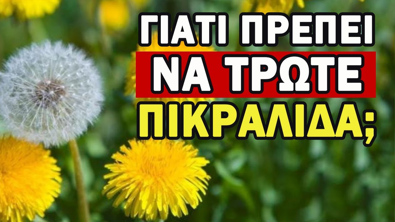 Οι ΘΕΡΑΠΕΥΤΙΚΕΣ Δυνατότητες Της Πικραλίδας; ΑΥΤΟ Θα ΣΑΣ Εκπλήξει! - YouTube