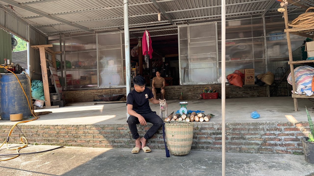 Survival alone.sell sweet bamboo shoots buy things.farm building. nvn’s ...