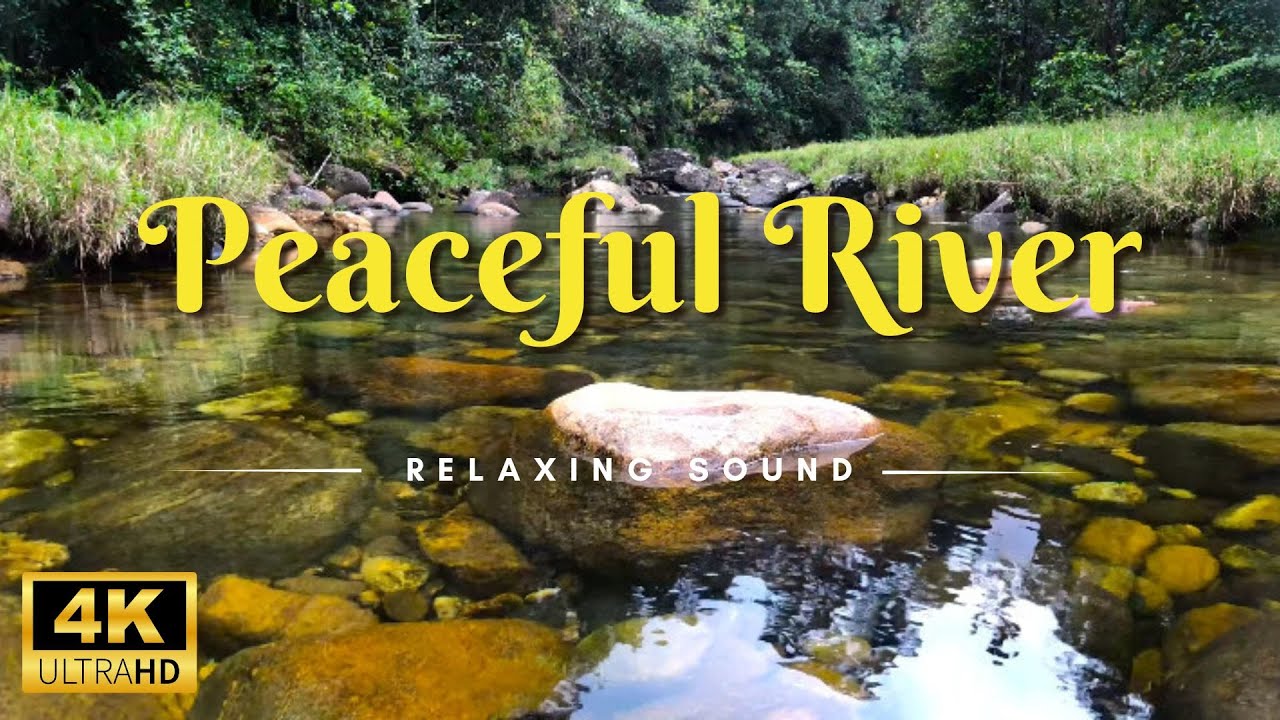 Peaceful Forest River - Relaxing River Sounds -soothing music For Deep ...