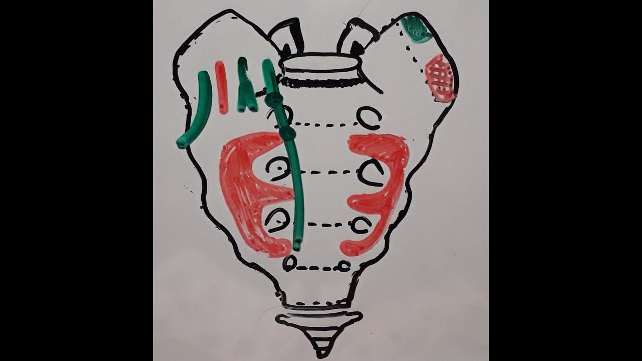 SACRUM YouTube sacrum-youtube