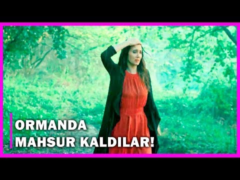 Pelin ve Sinan Ormanda Mahsur Kaldı!  - Tatlı İntikam 5.Bölüm