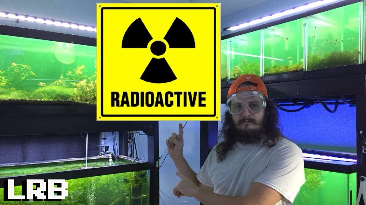 Going Nuclear Nukes for Flukes Radioactive Fish Room - YouTube