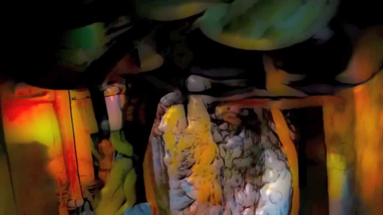 Insects on Steroids - YouTube