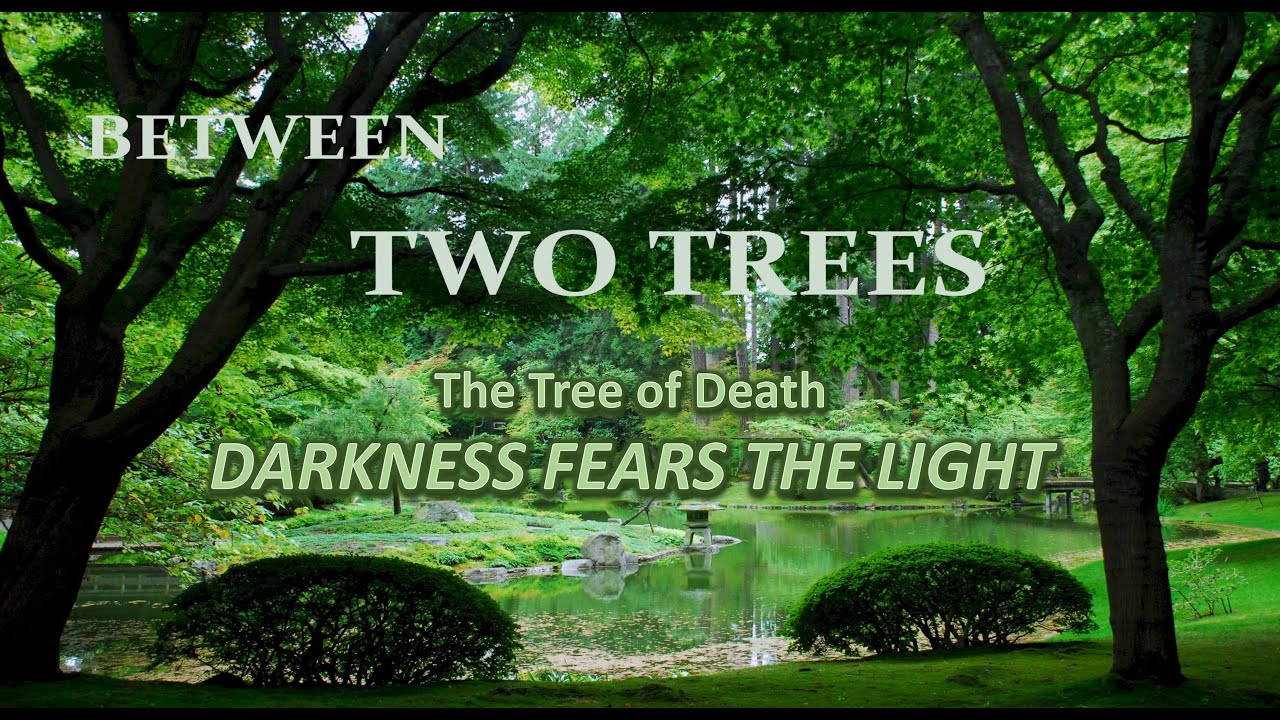 DCC Service: Between Two Trees - The Tree of Death - Darkness Fears the ...