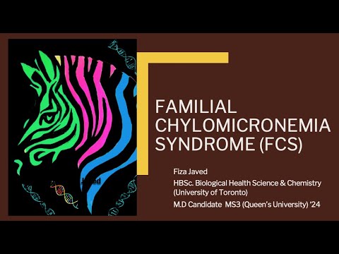 Action FCS: presentation on FCS by Fiza Javed - YouTube