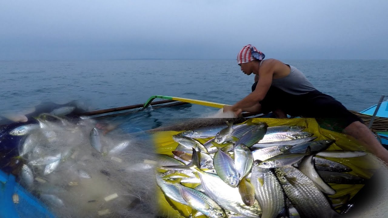 Nakaholi din kame Ng kalapato sa net fishing #jeromefishingtv - YouTube