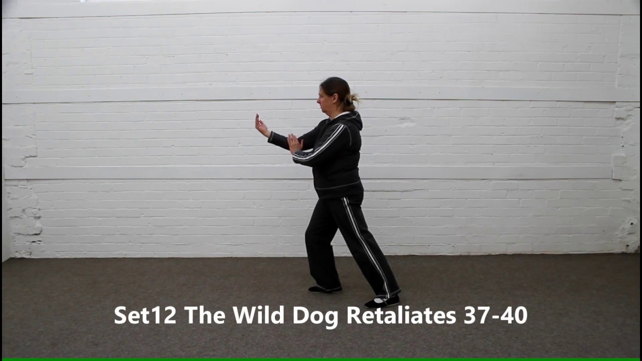 Tai Chi Lee Style Set 12 The Wild Dog Retaliates Nos 37-40 - YouTube