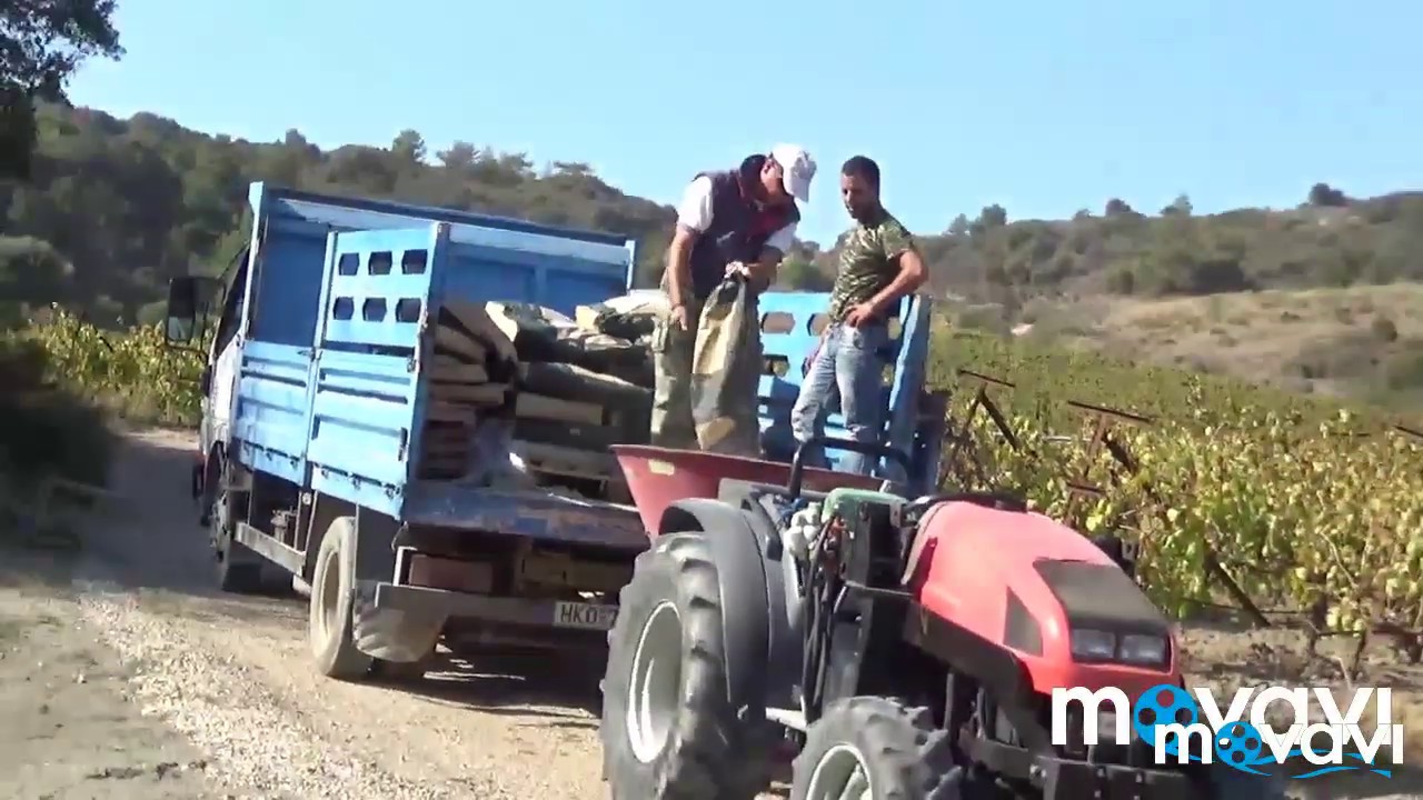 Αμπέλι αττικη+Ατταπουλγίτη.Ενσωμάτωση για βοηθεια στο νερο και στα ...