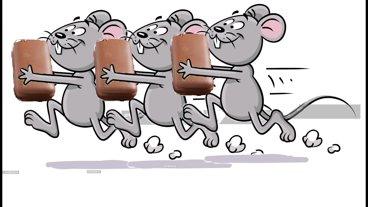 Tim Tam song - YouTube
