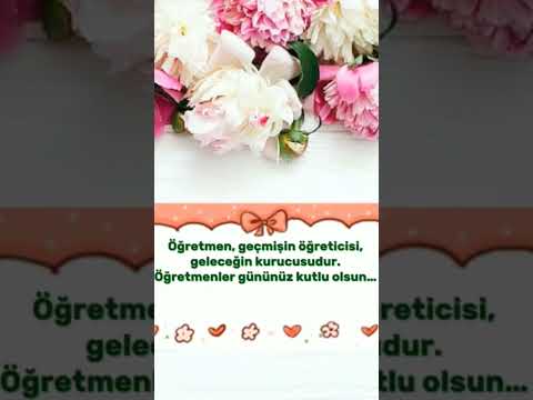 24 Kasım Öğretmenler Günü Mesajları #shorts #24kasımöğretmenlergünü #24kasım
