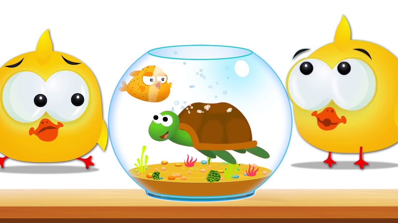 Lucky Ducky Fish Pot | Learn Colors, Good Manners + More Rhymes ...