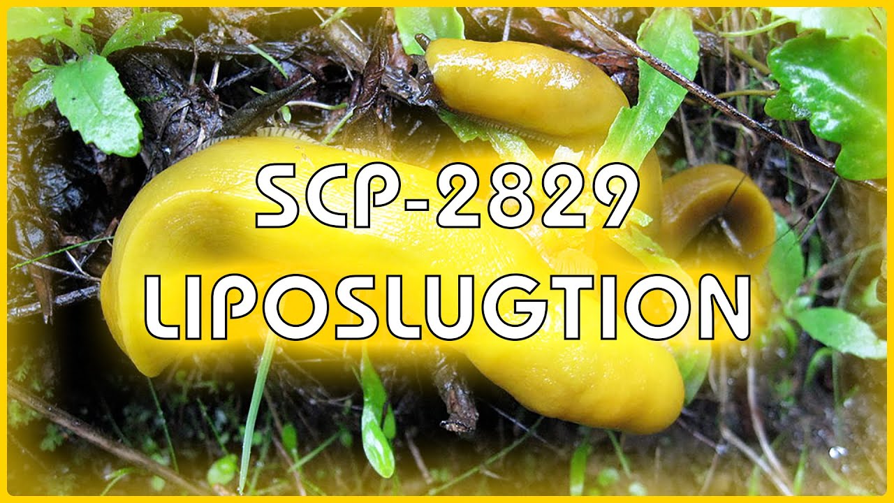 SCP 2829 - Liposlugtion - YouTube