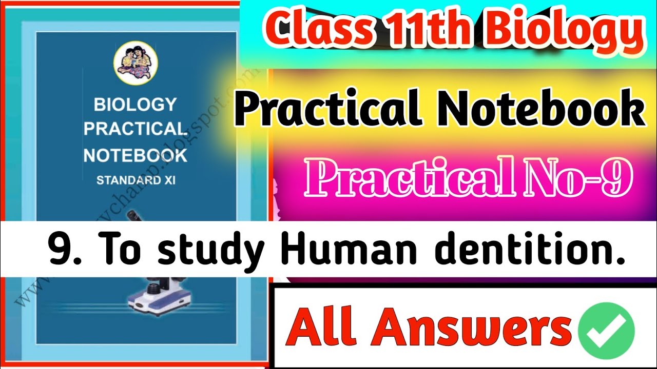 Class 11th Biology Practical Notebook || 9) To Study Human Dentition ...