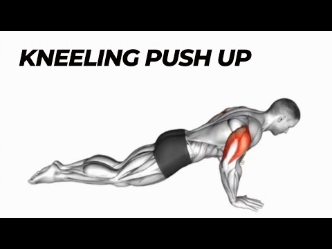 How to do Kneeling Push Up 🔥 | Beginner Pushups Course - YouTube