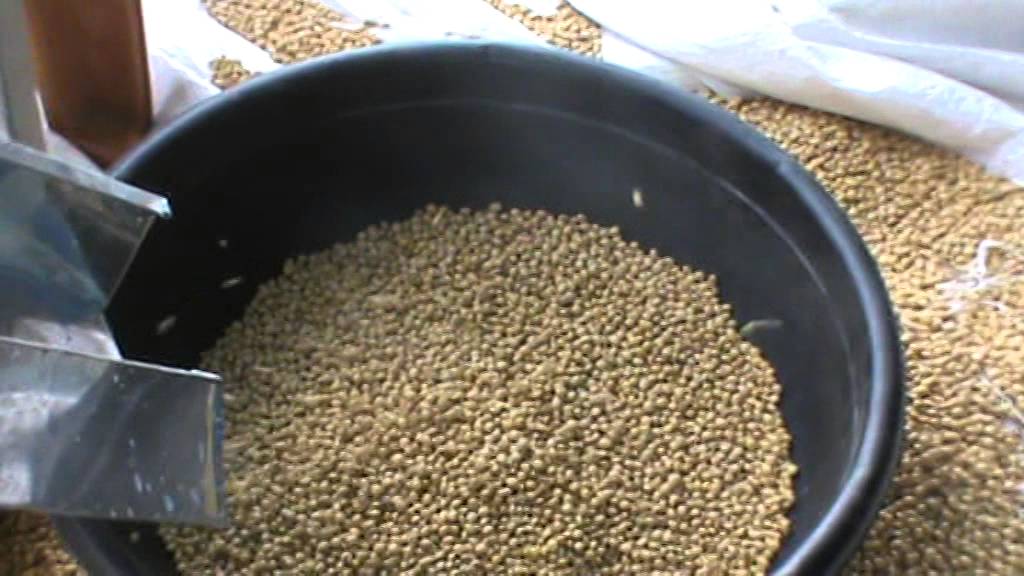 Best spiral grader and Spiral Separator soybean cleaning machine 01 ...