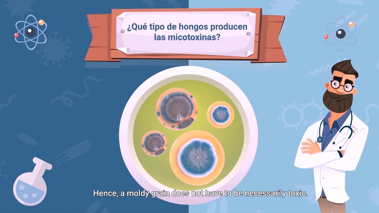 Zeotek® agente antimicotoxinas, organoaluminosilicato. [sub ing] - YouTube
