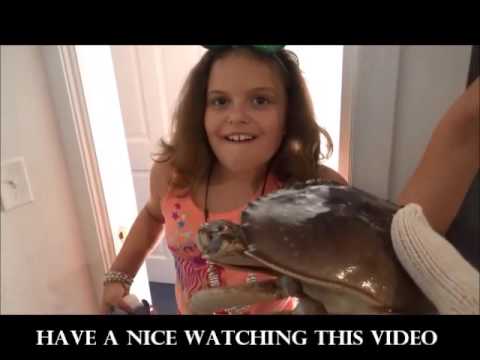 Annabelle Freaks Out! Real Crab In Room Victoria Toy Freak Family
