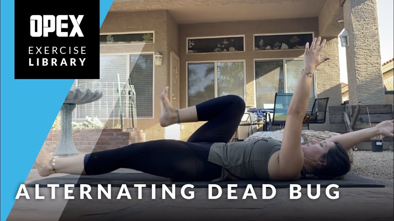 Alternating Dead Bug - OPEX Exercise Library - YouTube