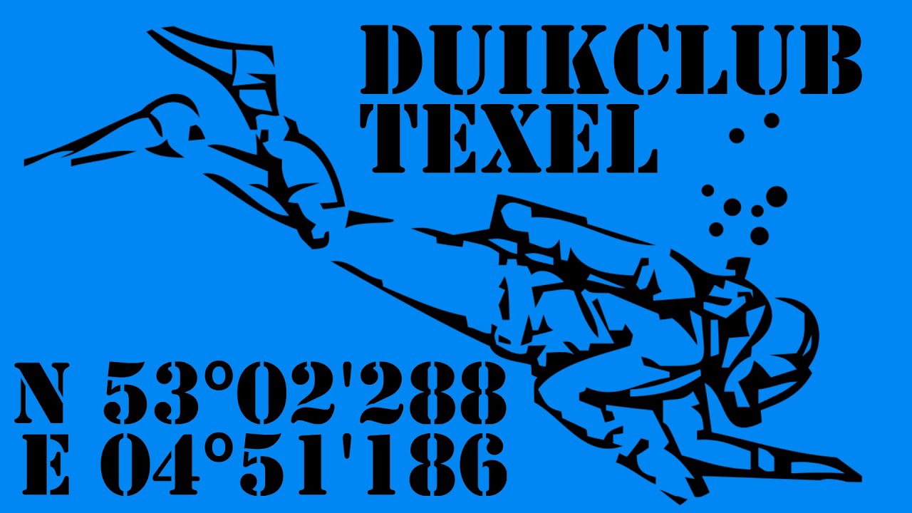 Duiken in de Waddenzee met goed zicht - YouTube