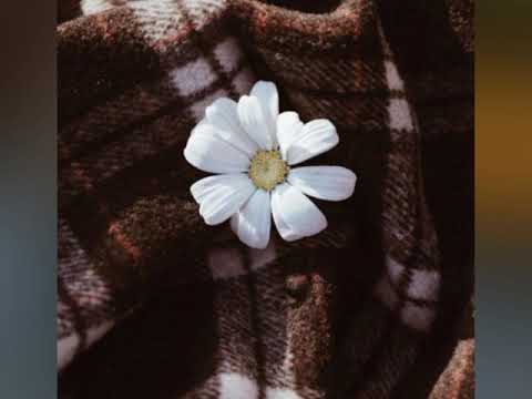 Telli Turnam - Fon Uzun Versiyon