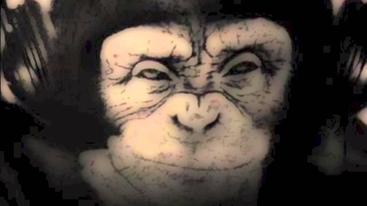 Spider Monkey (dubstep) - The Noise Monkey [FULL HQ 1080p] - YouTube