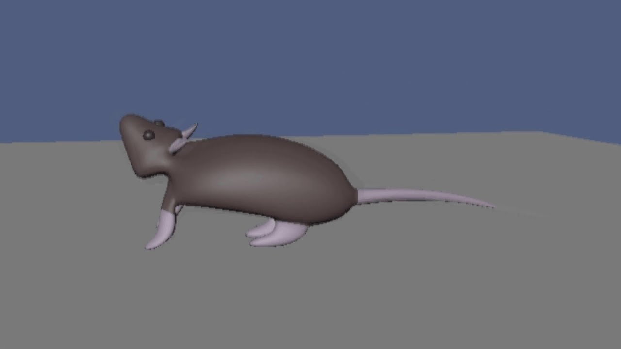 Dancey boi with a rat - YouTube