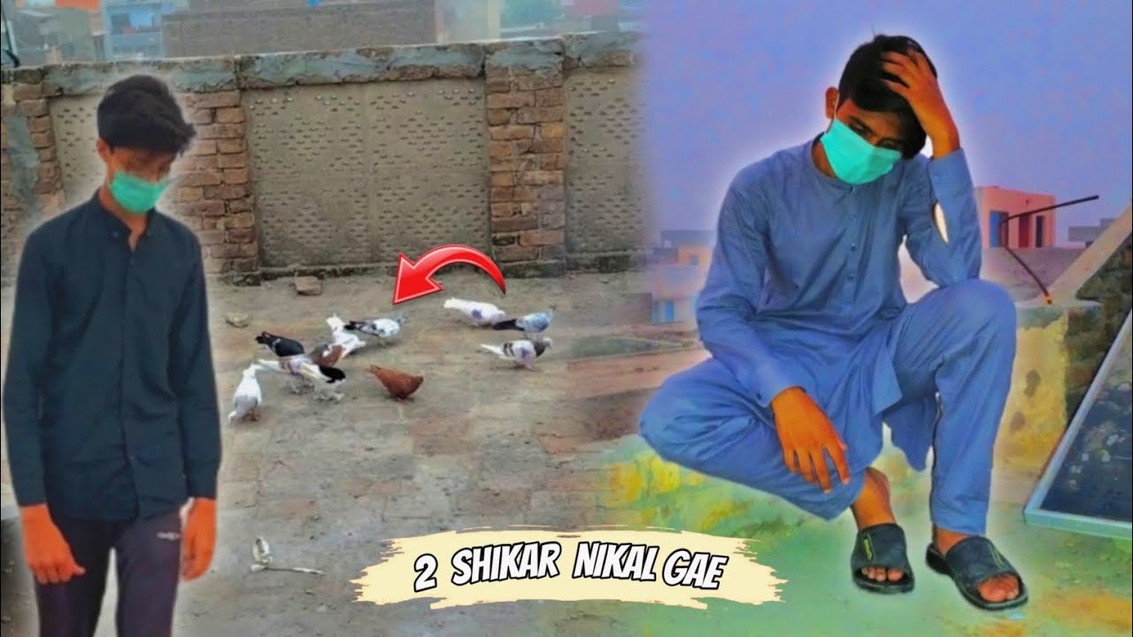 2 Shikar A Kar Bhe Hath Na Ae 🥲 || Pets Zone - YouTube