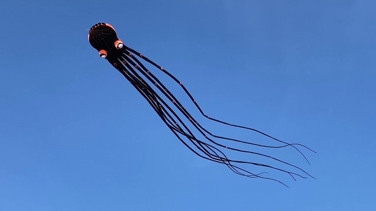 Octopus Kite in Overton - YouTube
