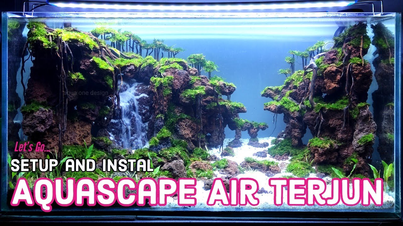 Step by step PROSES DESAIN DAN INSTAL AQUARIUM/AQUASCAPE DI TOKO ...