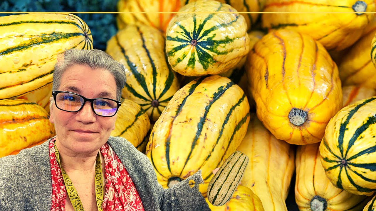 Delicata Squash Plant