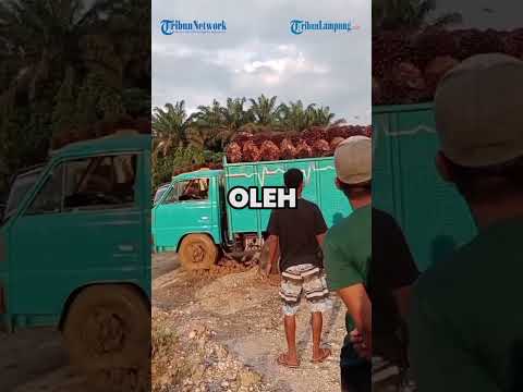 EVAKUASI TRUK YANG TERJEBAK DI DALAM LUMPUR, BAN MALAH COPOT