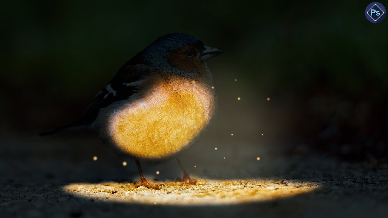 Bird Glowing Manipulation Photoshop(Tutorial) - YouTube