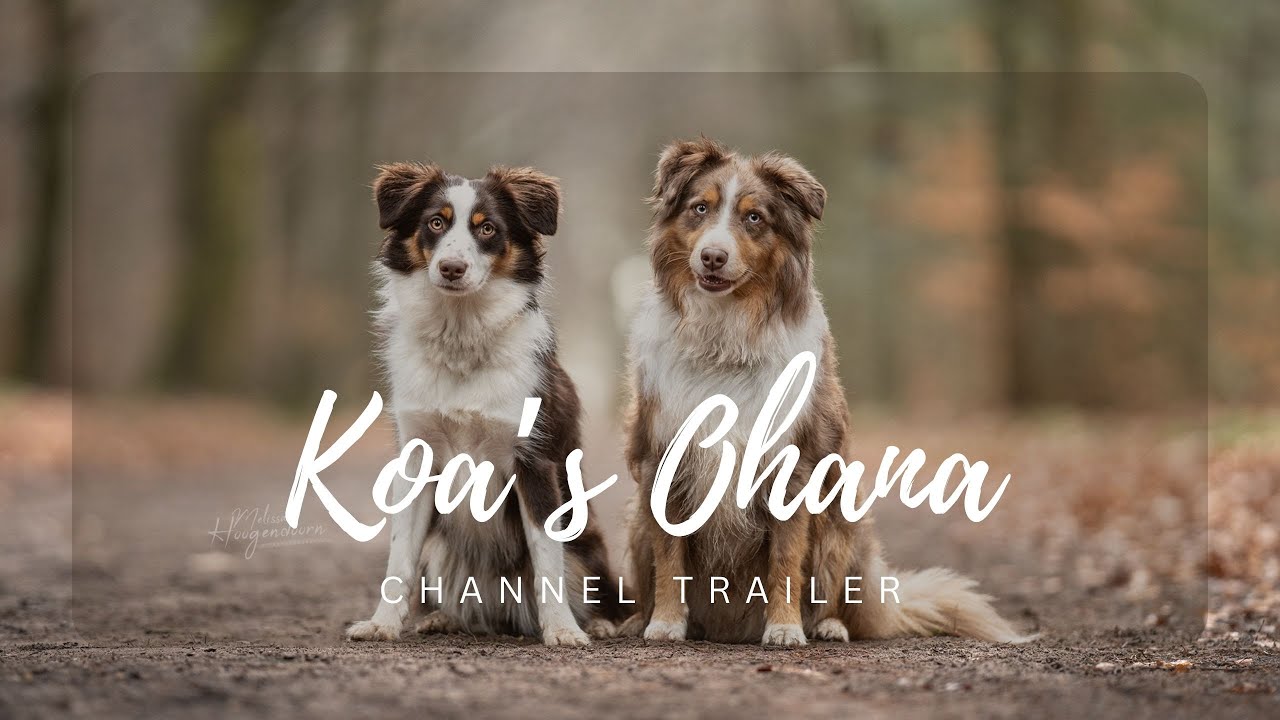 Koa’s Ohana - Channel Trailer - YouTube