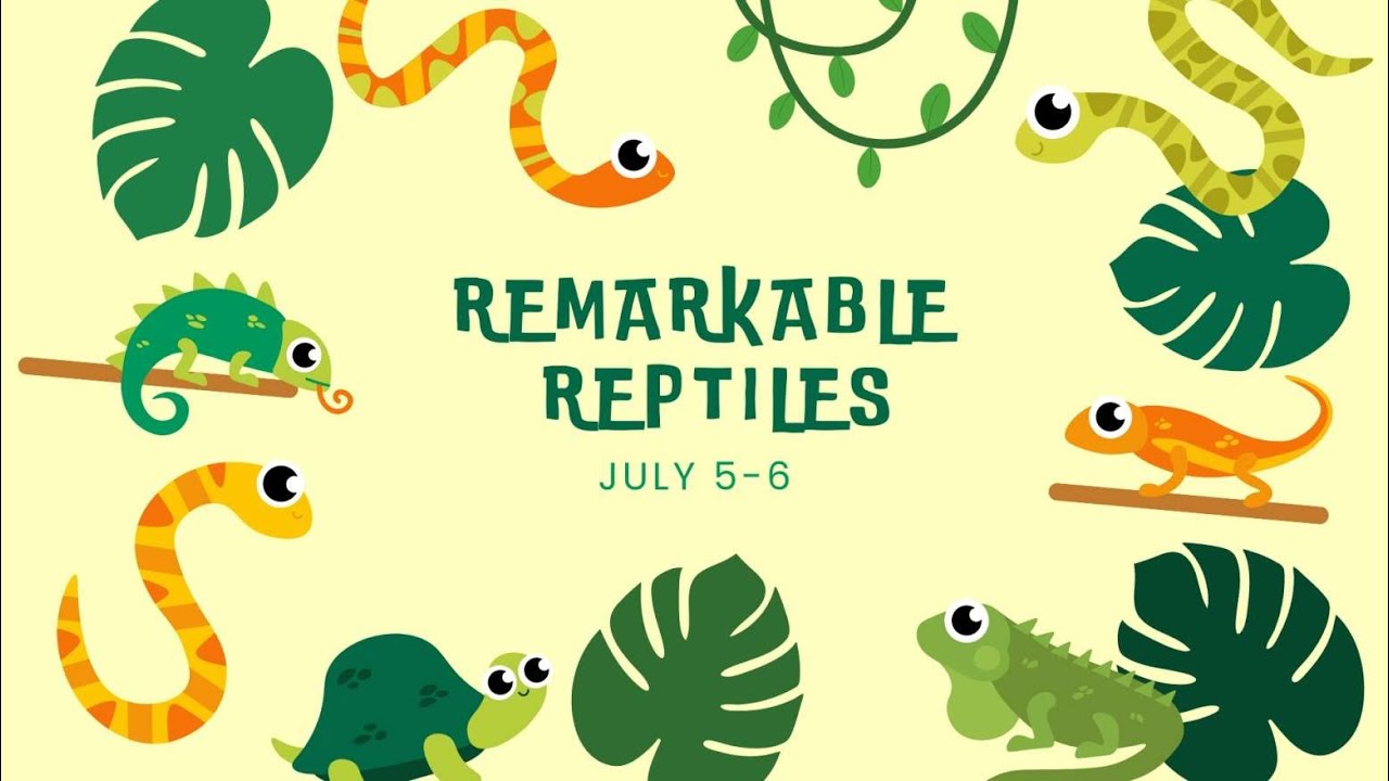 Remarkable Reptiles - YouTube