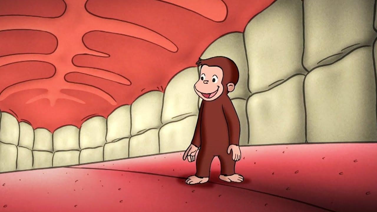 Jorge aprende sobre el cuerpo humano | Jorge El Curioso En Español ...