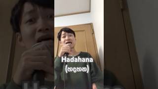 Hadahana Rasthiyadu Padanama X 44 Kalliya X Fill T Rasthiyadu Padanama ...