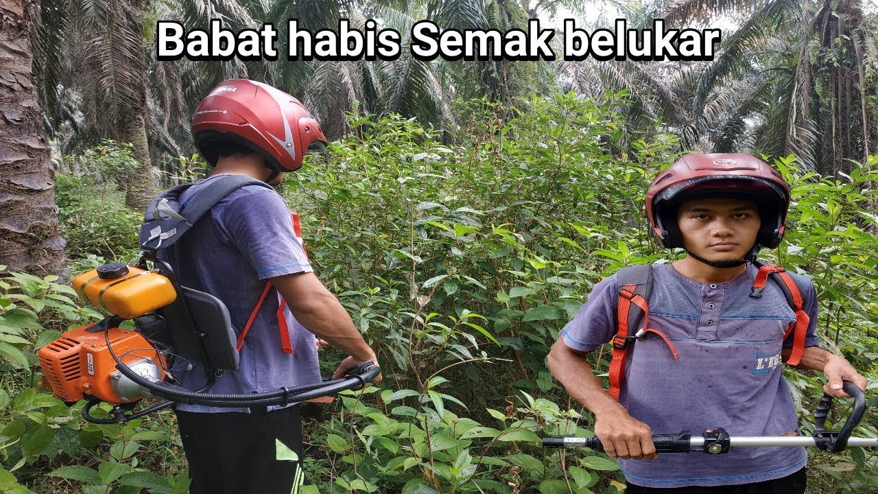 Cara menggunakan Mesin Rumput basmi semak belukar Perkebunan Sawit ...