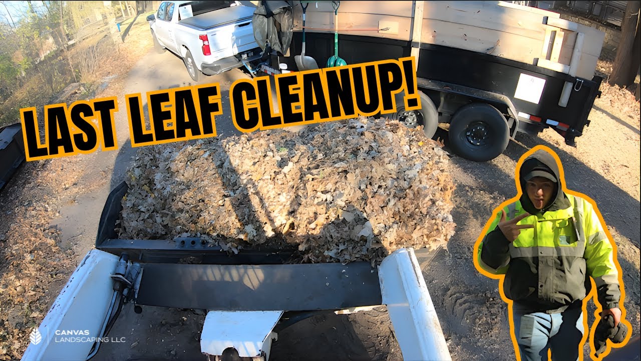 Satisfying Leaf Removal Finale! | Canvas Landscaping LLC - YouTube