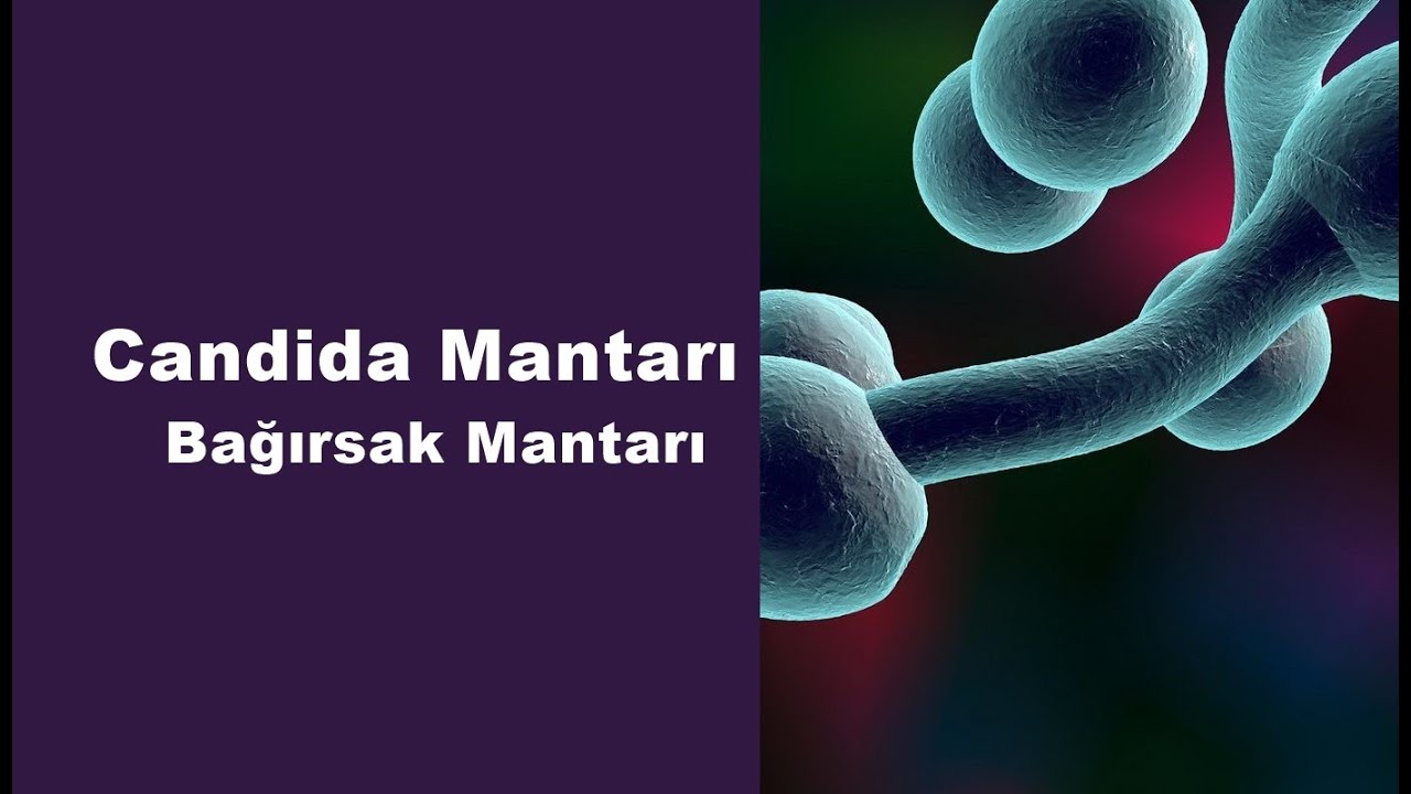 Bağırsak Mantarı - ( Candida Mantarı ) - (Binaural / Isochronic ...