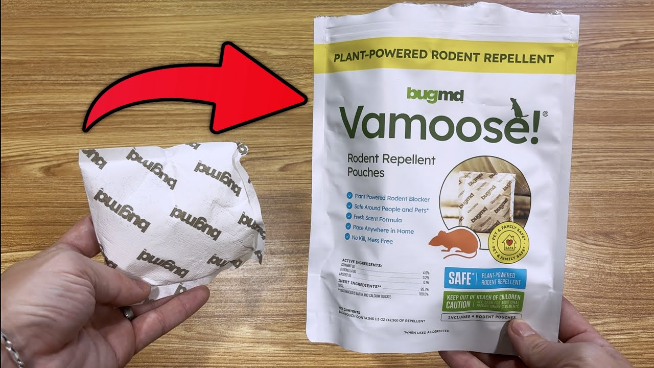 Best Pet Safe Rodent Repellent (BugMD Vamoose Review) - YouTube