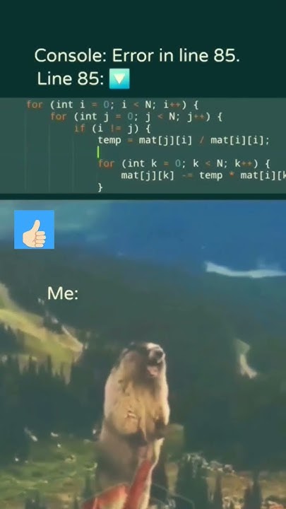 Annoying error #console #error #programming #programmer - YouTube
