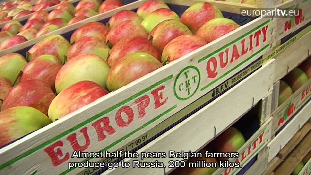 EU fruit farmers feel bite of Russian embargo - YouTube